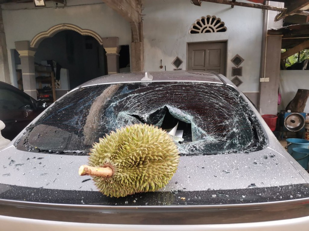 Man goes viral after putting up durian that smashed into car for sale ...